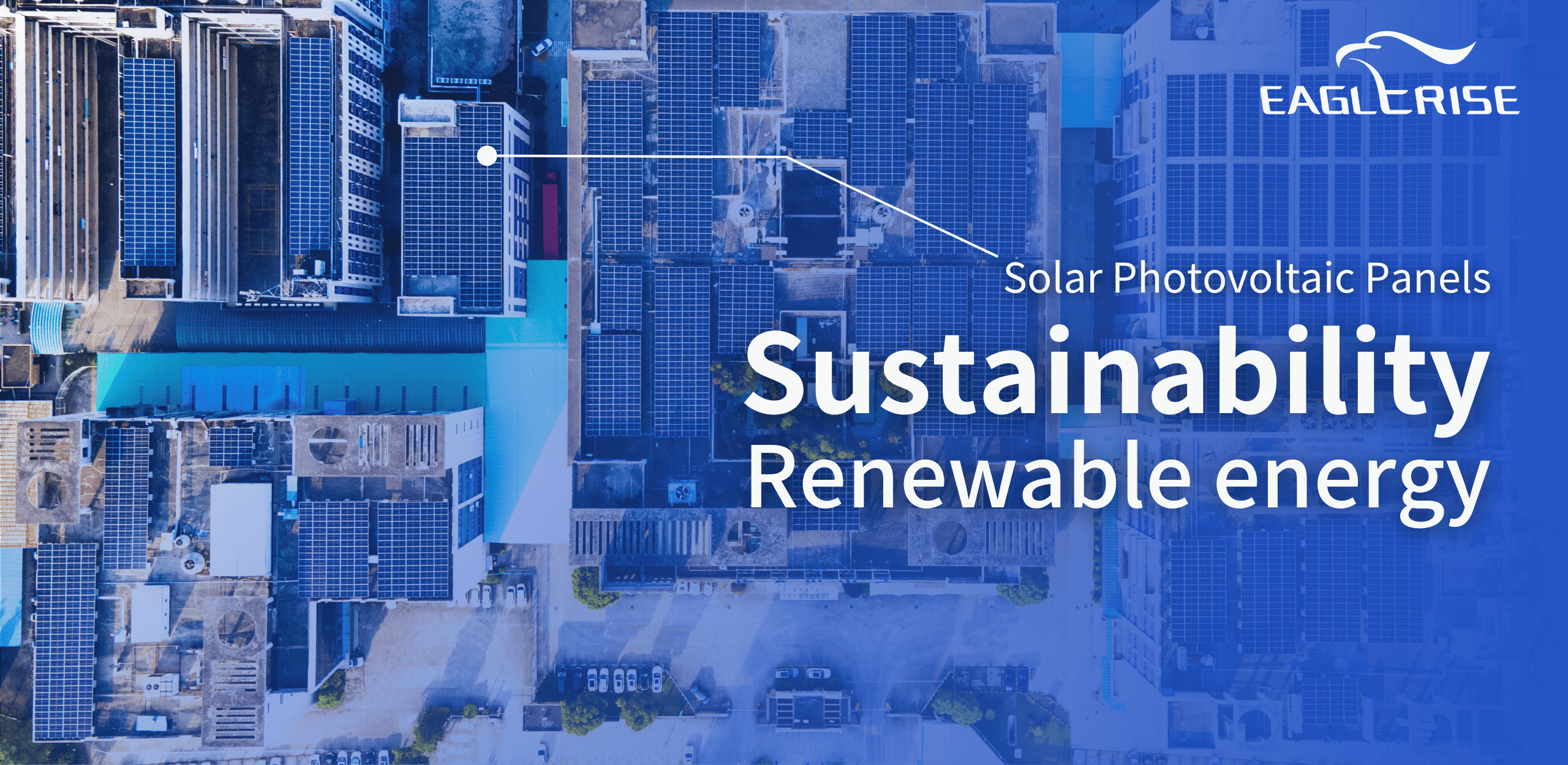 EAGLERISE - Simpex Electronic AG